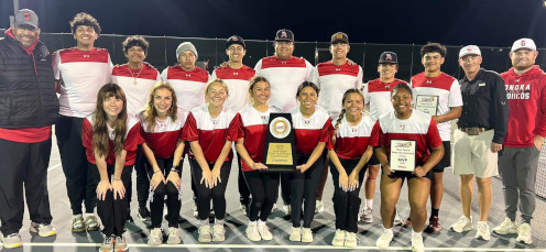 Home [www.texastenniscoaches.com]